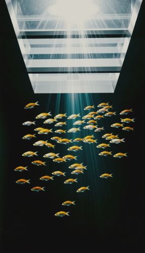 In the dark room, there is an open square skylight on top of which ...